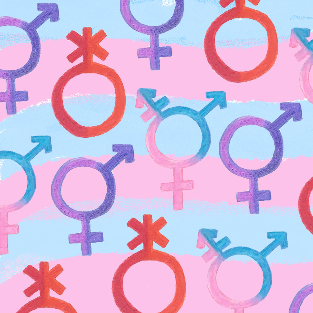 A Guide To Navigating The Legal System As A Transgender Person In India